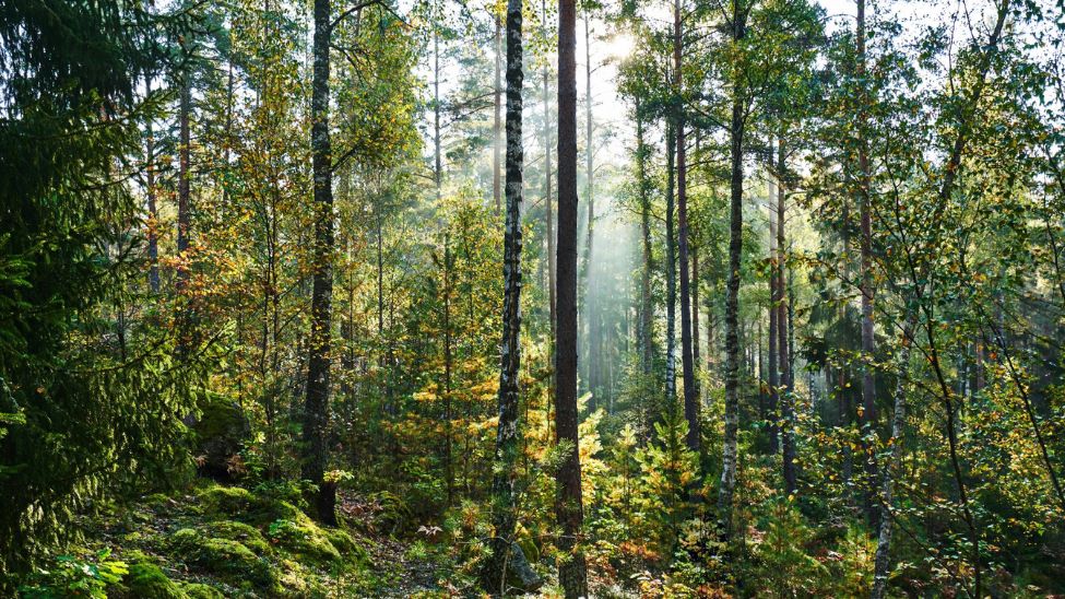 Microsoft reveals new sustainability solutions for ‘all...