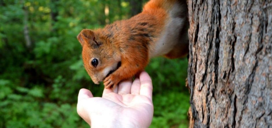 Microsoft invites start-ups to new sustainability...